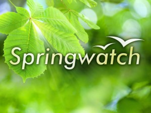 Get involved with Springwatch 2013 | North Luffenham