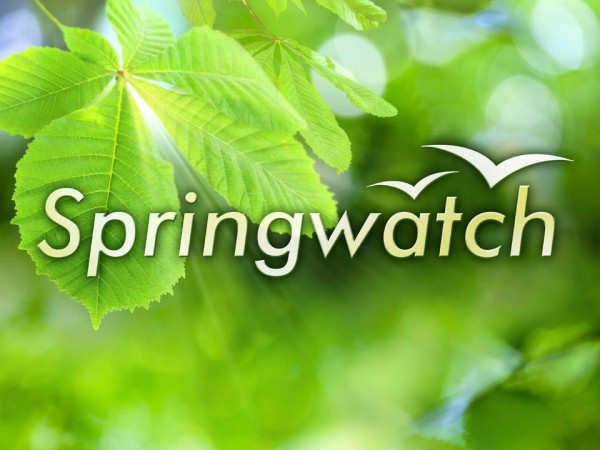 Get involved with Springwatch 2013 | North Luffenham