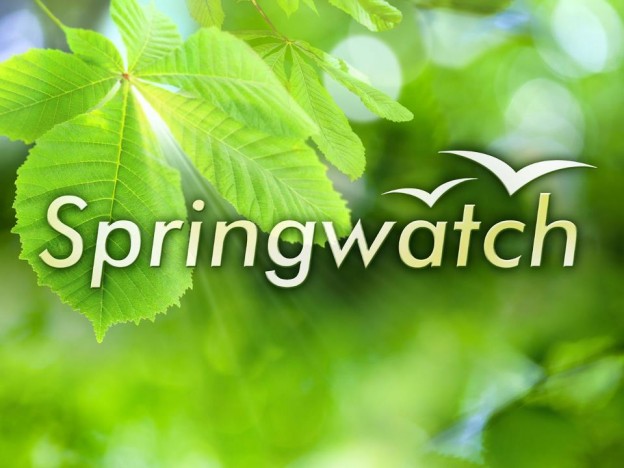 Get involved with Springwatch 2013 | North Luffenham