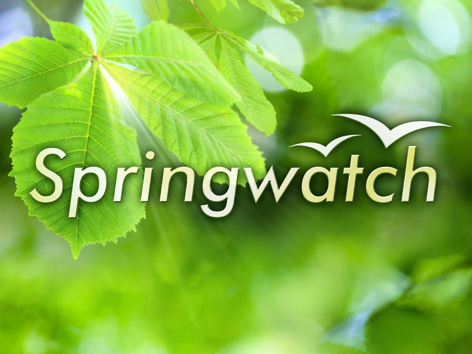 Get involved with Springwatch 2013 | North Luffenham