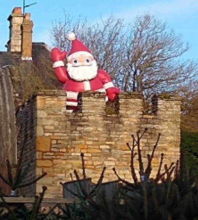 Christmas trees and decorations at Digby Farm | North Luffenham